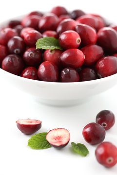 Imagens de Moosbeeren – Explore Fotografias do Stock, Vetores e Vídeos ...