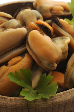 「Pedoci」の画像 - 197 件の Stock 写真、ベクターおよびビデオ | Adobe Stock