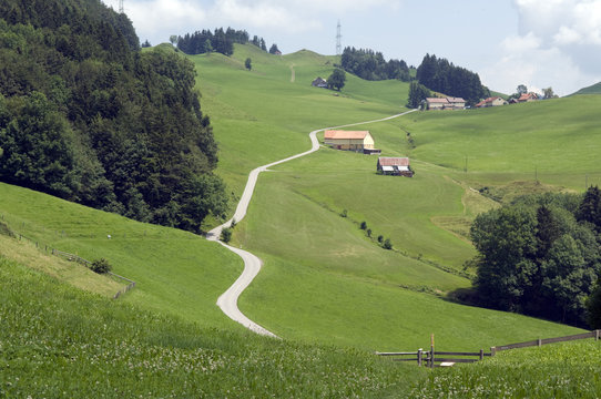 Dispersed Settlement