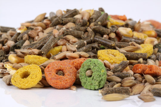 รูปภาพHasenfutter – เลือกดูภาพถ่ายสต็อก เวกเตอร์ และวิดีโอ350 | Adobe Stock