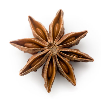 รูปภาพAnis – เลือกดูภาพถ่ายสต็อก เวกเตอร์ และวิดีโอ40,626 | Adobe Stock