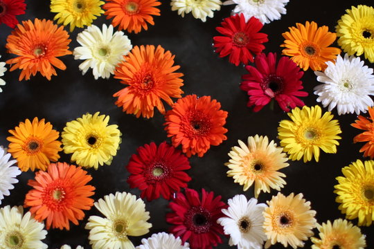 「Flotte」の画像 - 3,247 件の Stock 写真、ベクターおよびビデオ | Adobe Stock