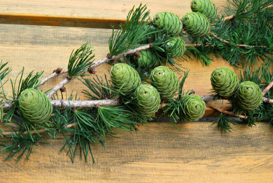 Ines Peters photos, images, assets | Adobe Stock