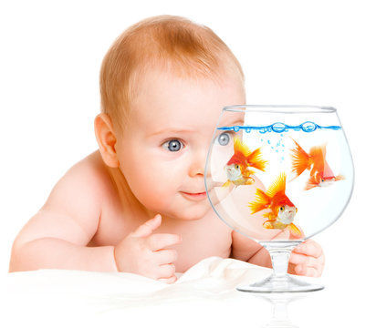 Baby Fish Images – Browse 93,795 Stock Photos, Vectors, and Video ...