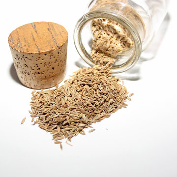 「Fenouil」の画像 - 1,284 件の Stock 写真、ベクターおよびビデオ | Adobe Stock