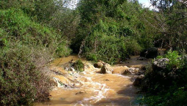 Rivulet Billeder – Gennemse 80,858 stockfotos, vektorer og videoer ...
