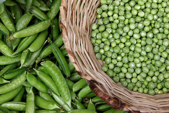 Imágenes de Arbejas: descubre bancos de fotos, ilustraciones, vectores ...