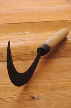 Falcetto Images – Browse 59 Stock Photos, Vectors, and Video | Adobe Stock