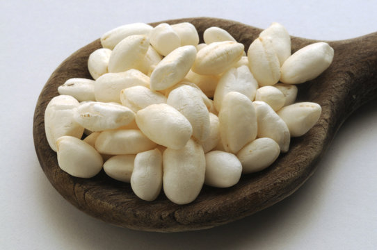 「Caryopse」の写真素材 | 23,712件の無料イラスト画像 | Adobe Stock