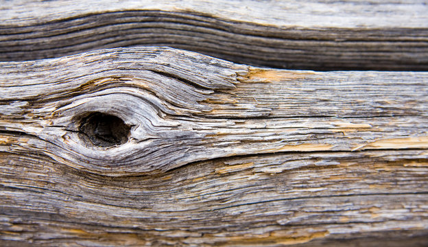 Astloch bilder – Bläddra bland 3,597 stockfoton, vektorer och videor ...