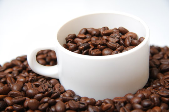 รูปภาพMouture – เลือกดูภาพถ่ายสต็อก เวกเตอร์ และวิดีโอ226 | Adobe Stock