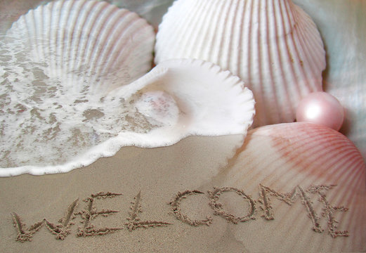 Pearl-Shell Images – Browse 16 Stock Photos, Vectors, and Video | Adobe ...