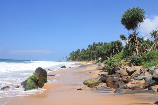 1,051 件の最適な Ceylan 画像、ストック写真、ベクター | Adobe Stock