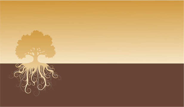 Blank Tree Outline With Roots Images – Browse 123 Stock Photos, Vectors ...