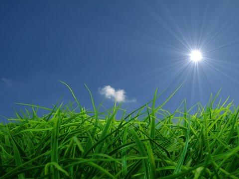 Sommersonne bilder – Bläddra bland 1,106 stockfoton, vektorer och ...