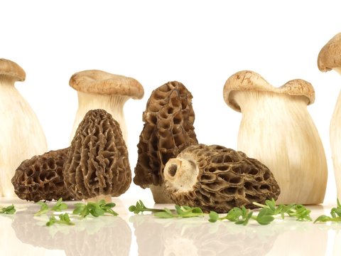 Eringy Images – Browse 8 Stock Photos, Vectors, and Video | Adobe Stock