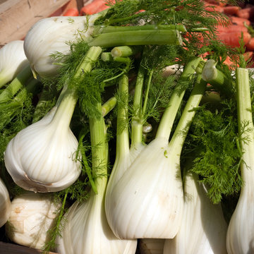 รูปภาพFenouil – เลือกดูภาพถ่ายสต็อก เวกเตอร์ และวิดีโอ1,286 | Adobe Stock