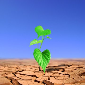 รูปภาพAride – เลือกดูภาพถ่ายสต็อก เวกเตอร์ และวิดีโอ12,922 | Adobe Stock