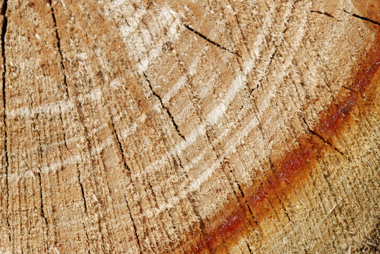 Stubs Bilder – Durchsuchen 41,655 Archivfotos, Vektorgrafiken und ...