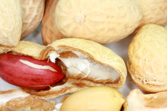 Cacahouette 이미지 – 찾아보기 76 스톡 사진, 벡터 및 비디오 | Adobe Stock