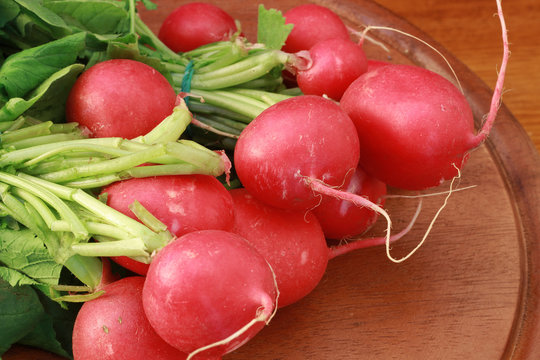 Ravanelli Images – Browse 733 Stock Photos, Vectors, and Video | Adobe ...