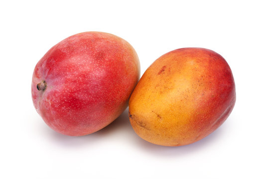 รูปภาพMangues – เลือกดูภาพถ่ายสต็อก เวกเตอร์ และวิดีโอ859 | Adobe Stock