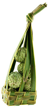 Attier Images – Browse 37 Stock Photos, Vectors, and Video | Adobe Stock