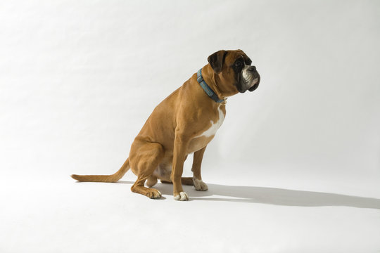 「Vorbiss」の画像 - 26 件の Stock 写真、ベクターおよびビデオ | Adobe Stock