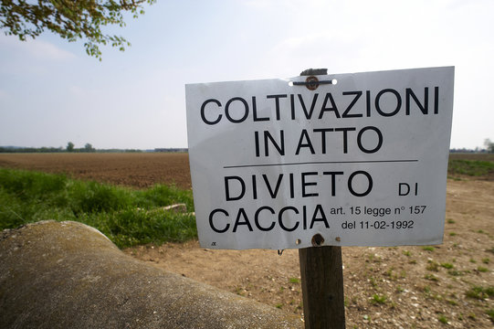 Semina Images – Browse 2,700 Stock Photos, Vectors, and Video | Adobe Stock