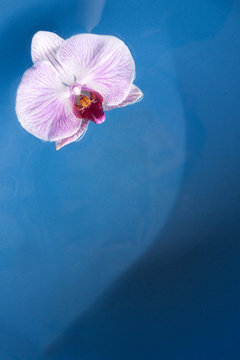 Cambrure Images – Parcourir 163 le catalogue de photos, vecteurs et ...