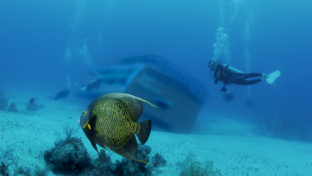 รูปภาพRed-Sea – เลือกดูภาพถ่ายสต็อก เวกเตอร์ และวิดีโอ246 | Adobe Stock