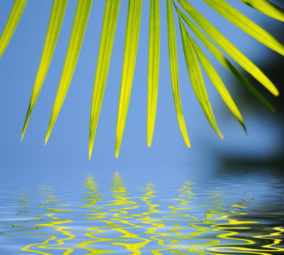 Multipliant Images – Browse 47 Stock Photos, Vectors, and Video | Adobe ...