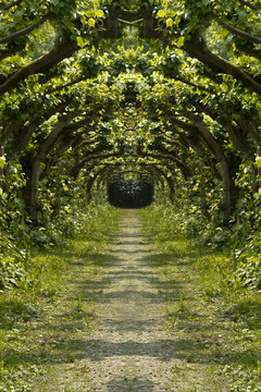 Fotolia - Images et vidéos libres de droits | Adobe Stock