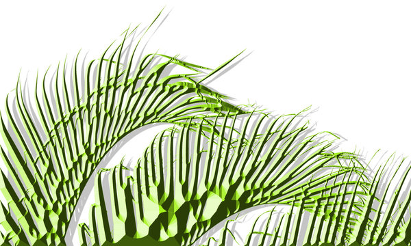 Palmier-Multipliant Images – Browse 4 Stock Photos, Vectors, and Video ...