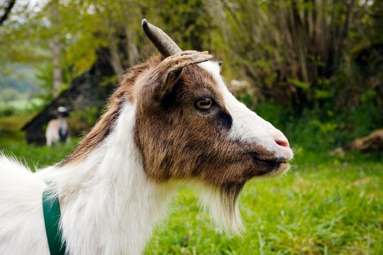 รูปภาพBiquette – เลือกดูภาพถ่ายสต็อก เวกเตอร์ และวิดีโอ515 | Adobe Stock