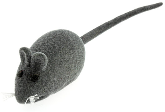 "Souris Grise" bilder – Bläddra bland 37 stockfoton, vektorer och ...
