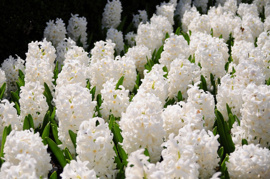 รูปภาพFraben – เลือกดูภาพถ่ายสต็อก เวกเตอร์ และวิดีโอ103 | Adobe Stock