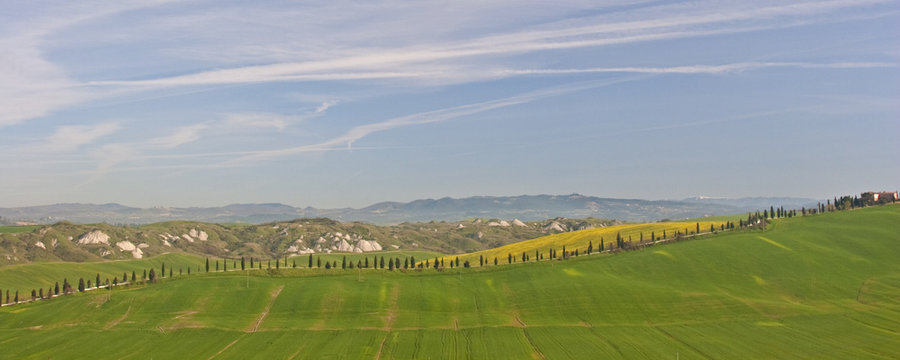 รูปภาพZypressenallee – เลือกดูภาพถ่ายสต็อก เวกเตอร์ และวิดีโอ656 ...