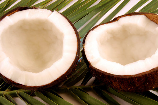 Kokken Bilder – Durchsuchen 18,755 Archivfotos, Vektorgrafiken und ...