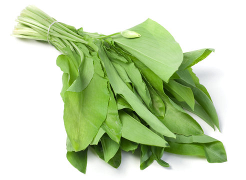 Kurrat bilder – Bläddra bland 2,816 stockfoton, vektorer och videor ...