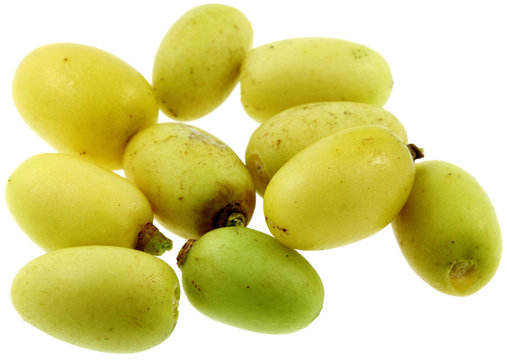 Margosier Images – Browse 50 Stock Photos, Vectors, and Video | Adobe Stock