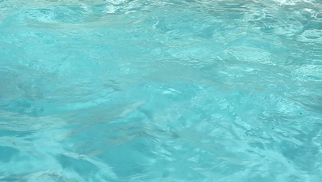 Nager Images – Browse 50,586 Stock Photos, Vectors, and Video | Adobe Stock