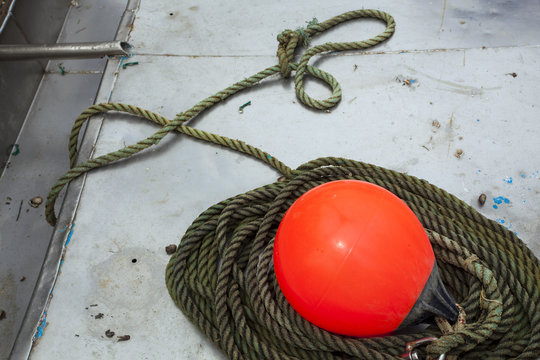 รูปภาพGomena – เลือกดูภาพถ่ายสต็อก เวกเตอร์ และวิดีโอ103 | Adobe Stock