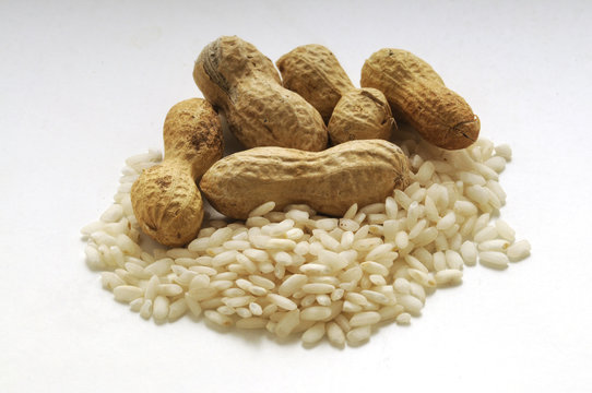 Bagigi Immagini - Sfoglia 1,902 foto, vettoriali e video Stock | Adobe ...