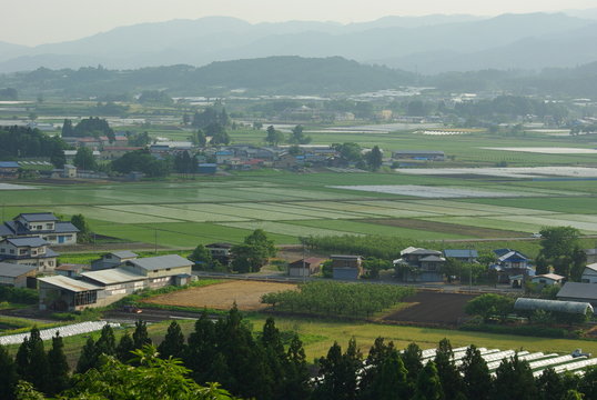 Baraku bilder – Bläddra bland 331 stockfoton, vektorer och videor ...