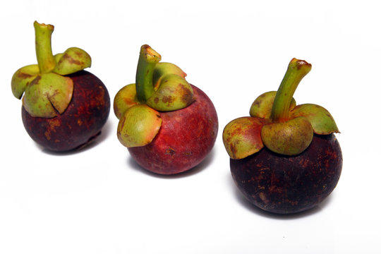 รูปภาพMangoustan – เลือกดูภาพถ่ายสต็อก เวกเตอร์ และวิดีโอ30,801 | Adobe ...