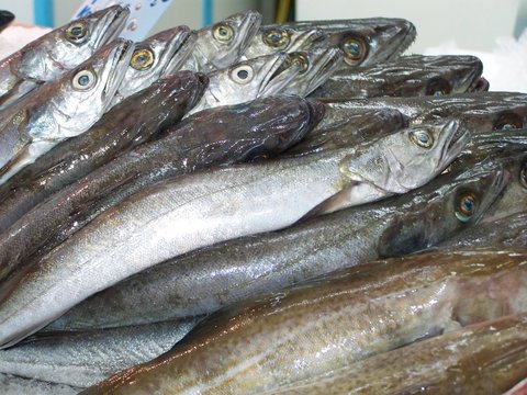 Merluchon Images – Browse 58 Stock Photos, Vectors, and Video | Adobe Stock