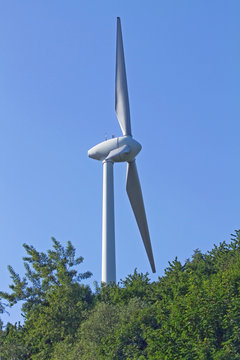 Schuttberg Images – Browse 338 Stock Photos, Vectors, and Video | Adobe ...