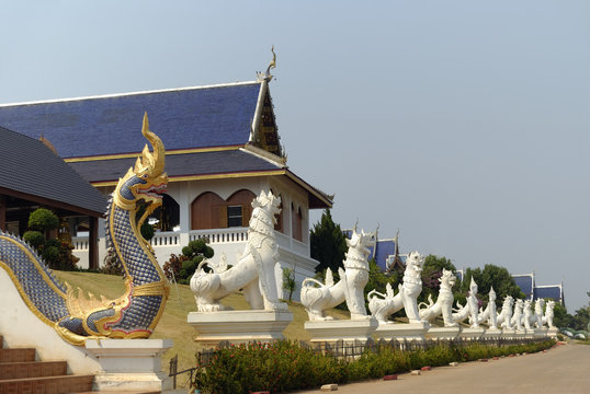 รูปภาพGragon – เลือกดูภาพถ่ายสต็อก เวกเตอร์ และวิดีโอ402 | Adobe Stock