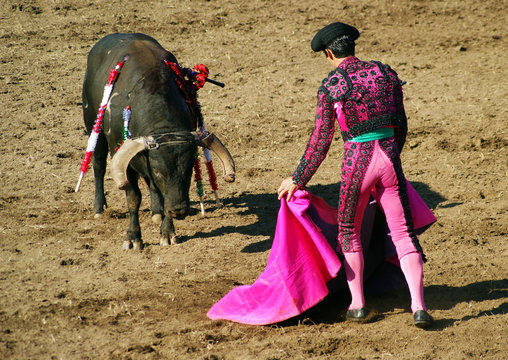 Toureiro Images – Browse 24,440 Stock Photos, Vectors, and Video ...